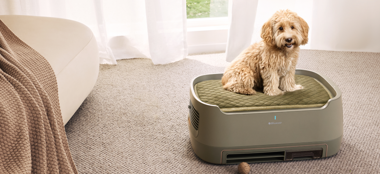 PetAir Pro | Pet-Focused Air Purifiers & Filters | Blueair