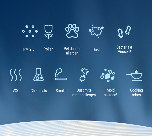 Blue Pure 211+ particle + carbon filter | Blueair