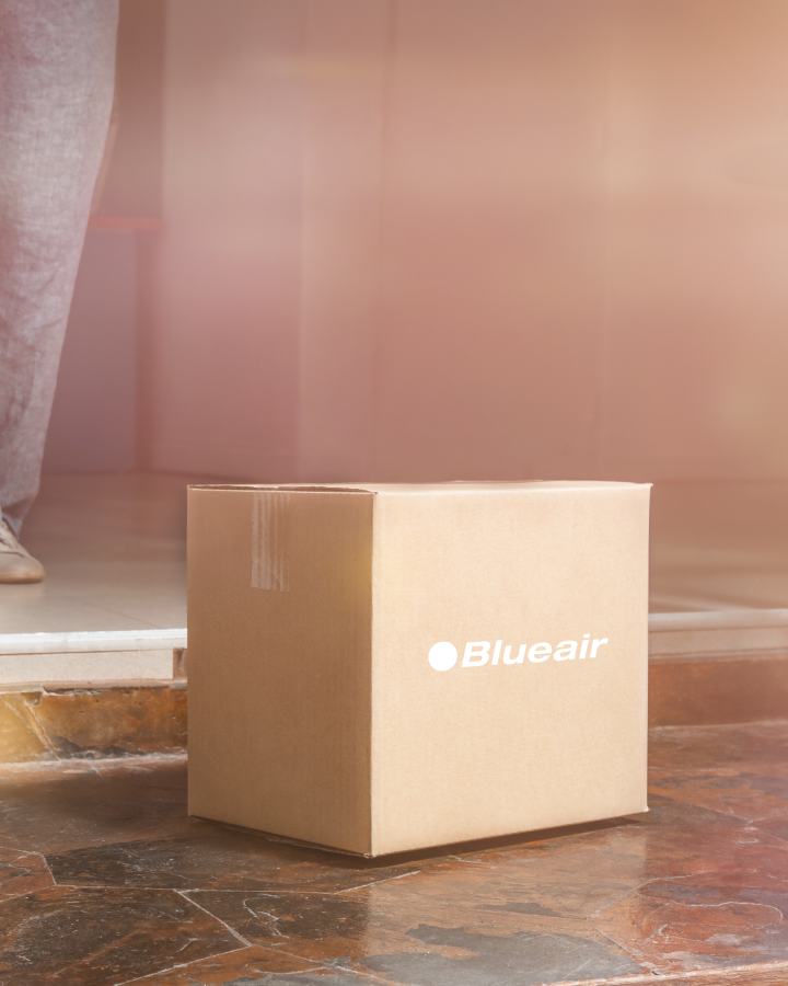 Blue Pure 211+ Auto Particle + Carbon Filter | Blueair