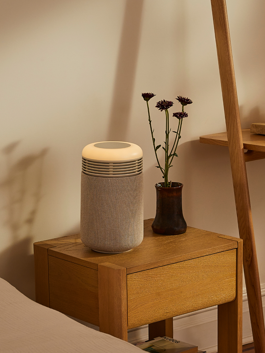 InvisibleMist Humidifier - No Mist, No White Dust | Blueair
