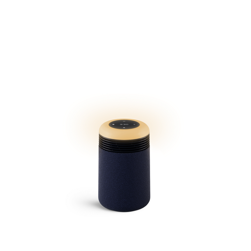 Filters | Genuine Blueair Air Purifier Replacement Filters