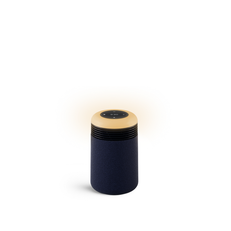 Filters | Genuine Blueair Air Purifier Replacement Filters