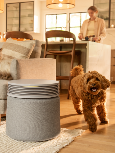 Mini Air Purifier for Small, Compact Spaces – Blueair