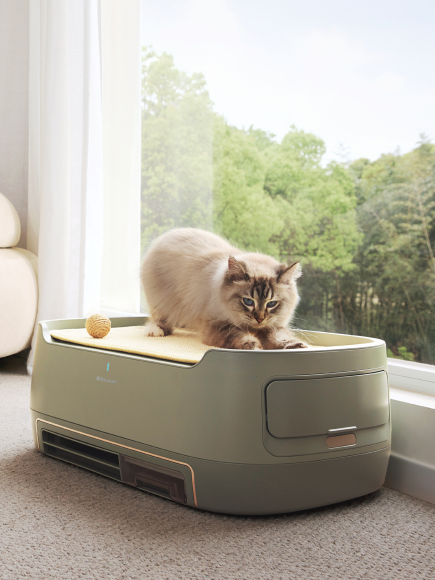 Registration and login issues – Blueair