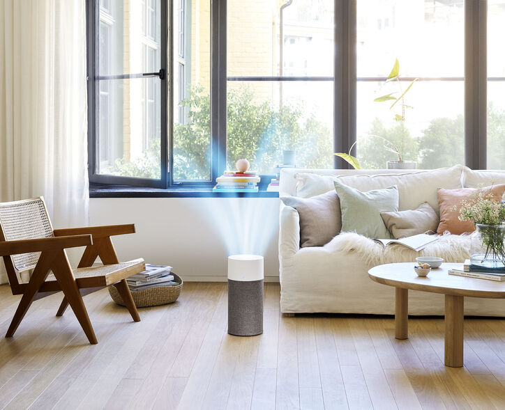 Why Clean Air? – Blueair